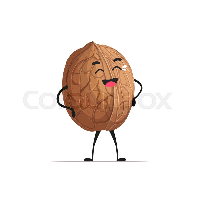 Walnut Cartoon