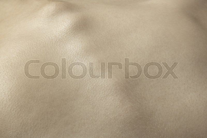 Human Body Skin Textures