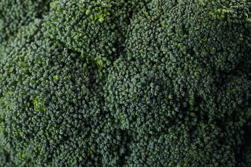 Broccoli on whole background, macro. ... | Stock image | Colourbox