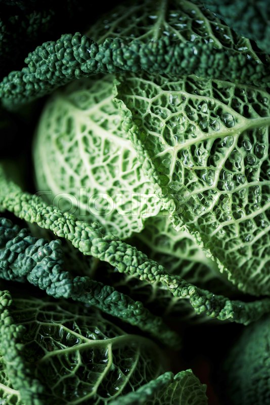 Raw green cabbage texture. Organic ... | Stock image | Colourbox