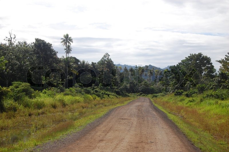 Gravel road in jungles Papua New Guinea | Stock Photo | Colourbox