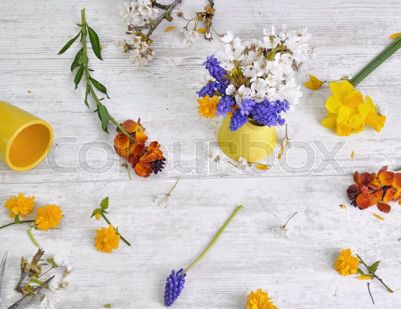 Garden flowers picked and scattered on ... | Stock image | Colourbox