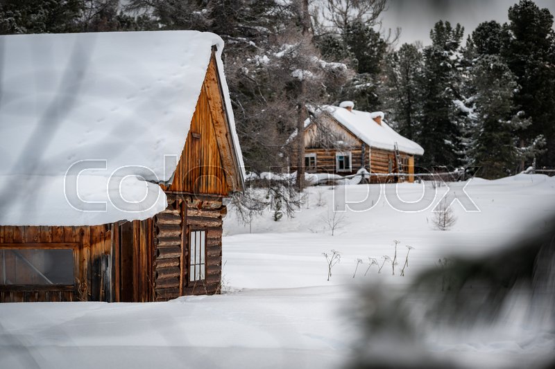 Traditional siberian house in the ... | Stock image | Colourbox