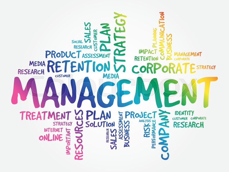 MANAGEMENT word cloud collage, ... | Stock vector | Colourbox