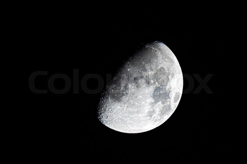 First Quarter Moon Phase