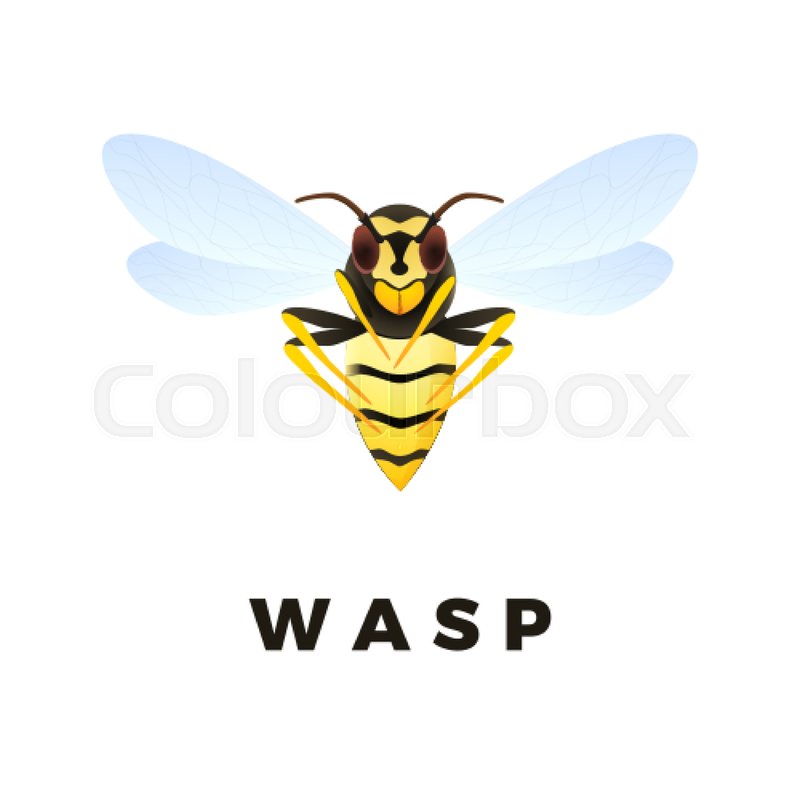 Wasp cartoon illustration isolated on ... | Stock vector | Colourbox