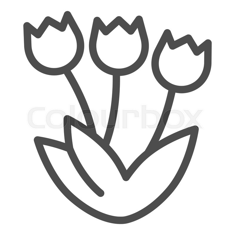 Tulip Clipart Outline
