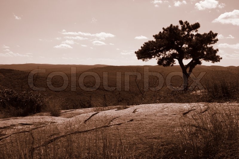 Mountain Landscape in sepia | Stock image | Colourbox