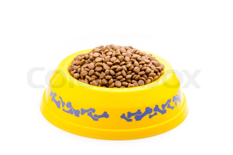Dog food in yellow plastic bowl ... | Stock image | Colourbox