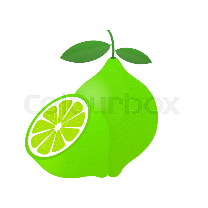 Lime with green leaves, slice citrus ... | Stock vector | Colourbox
