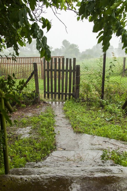 Old gate in the rain | Stock image | Colourbox