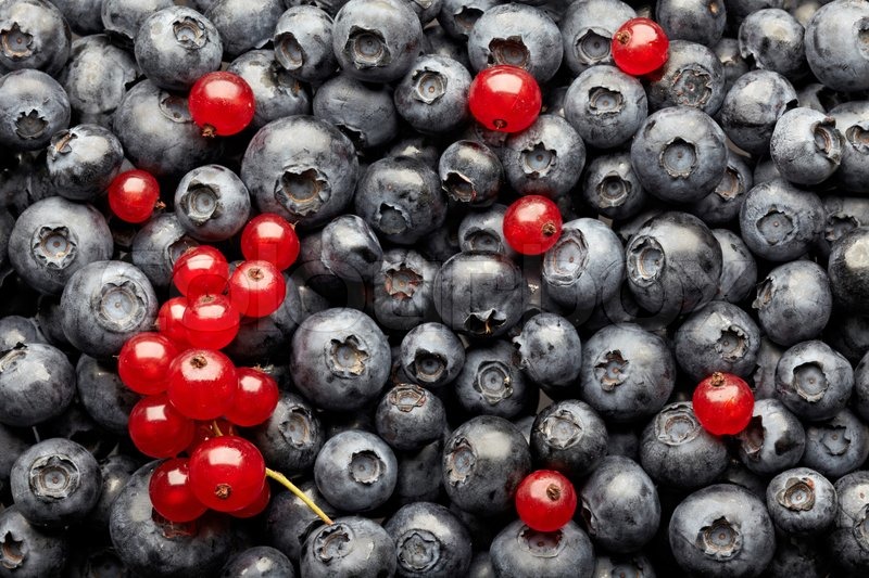 Blueberries and red currant berries | Stock image | Colourbox