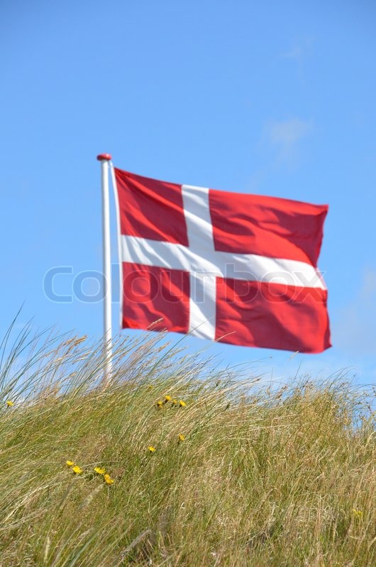 Dansk flag Dannebrog i klitterne ved ... | Stock foto | Colourbox