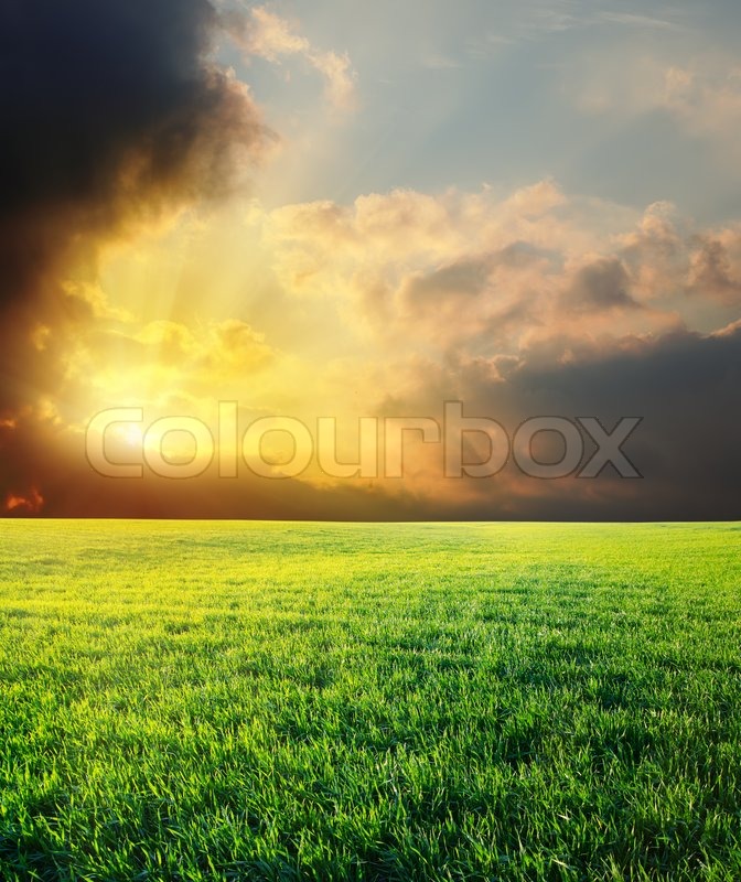 Sunset in dramatic sky over green field | Stock image | Colourbox