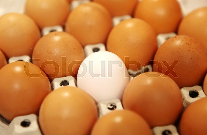 Farm fresh shell eggs for sale at a ... | Stock image | Colourbox