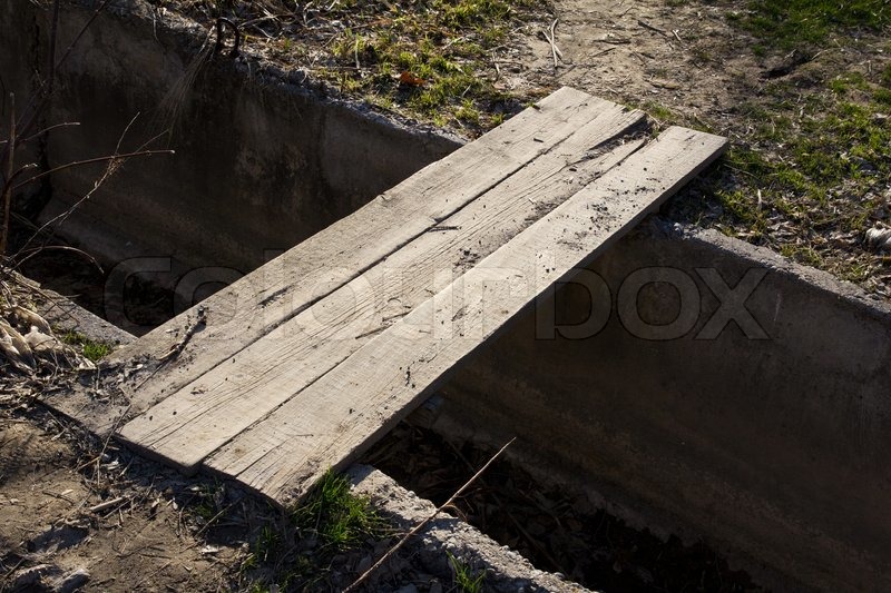 Bridge ladder in the park | Stock image | Colourbox