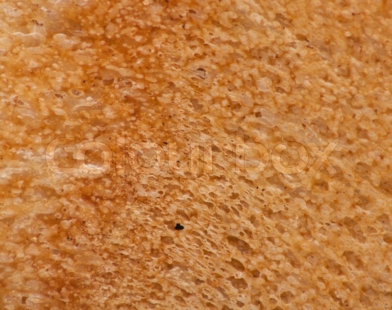 Seamless Bread Texture