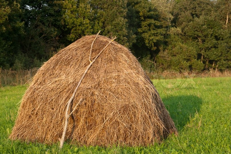 Hay stack | Stock image | Colourbox