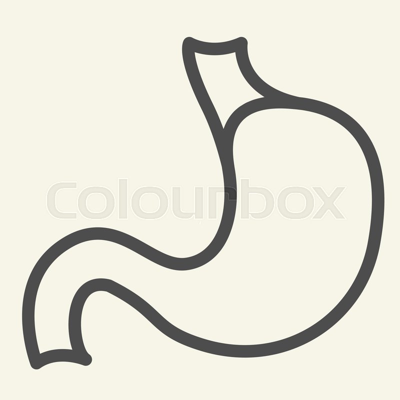 Human Stomach Outline