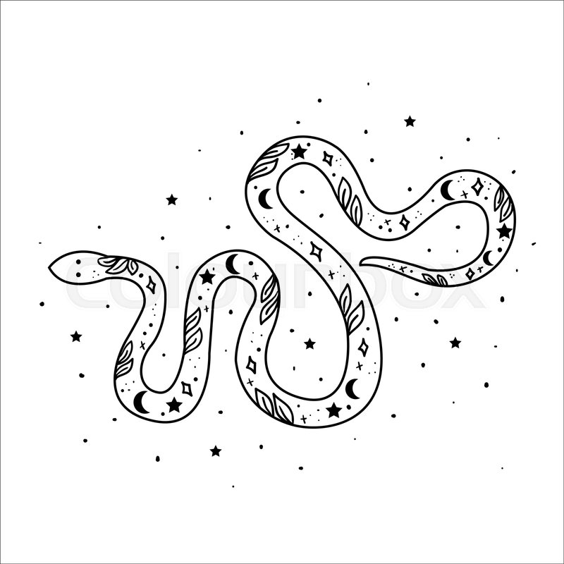Mystical snake with moon and stars. ... | Stock vector | Colourbox