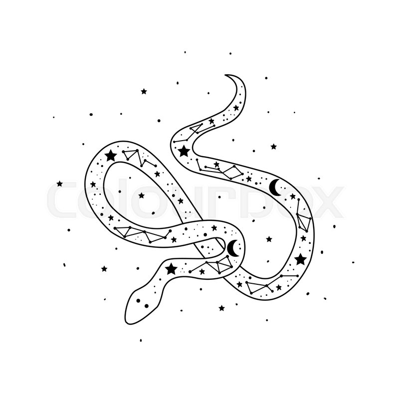 Mystical snake with moon and stars. ... | Stock vector | Colourbox