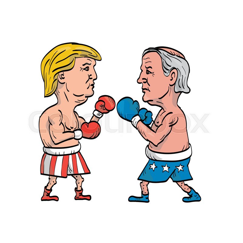 Democrat Vs Republican Boxing