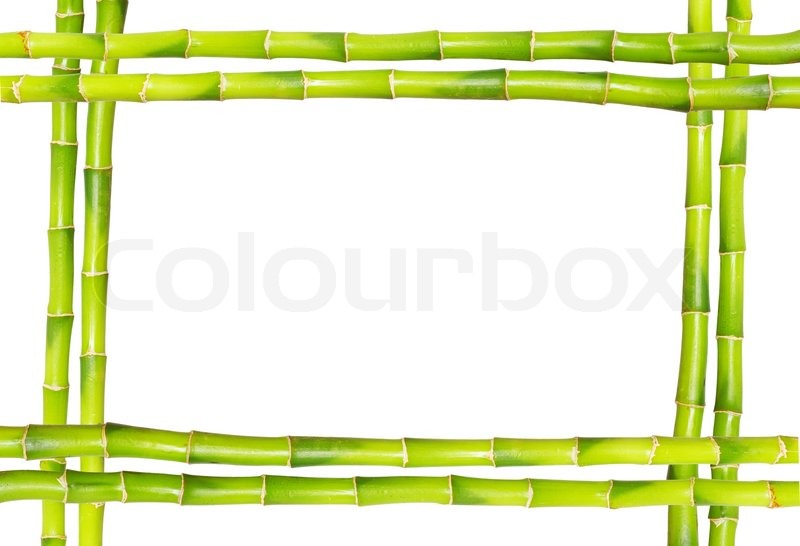 Bamboo frame | Stock image | Colourbox