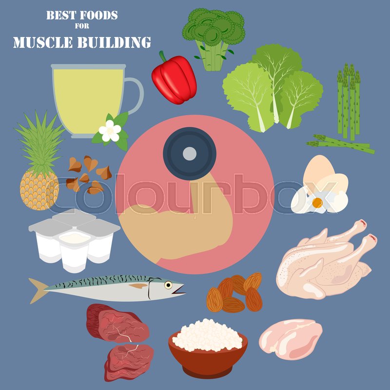 Best foods for muscle building on the ... | Stock vector | Colourbox