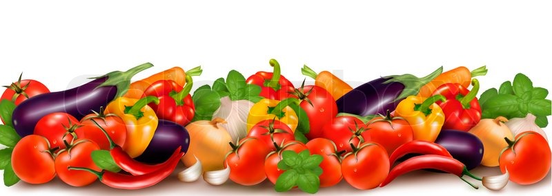 Banner made of fresh colorful vegetables | Stock Photo | Colourbox