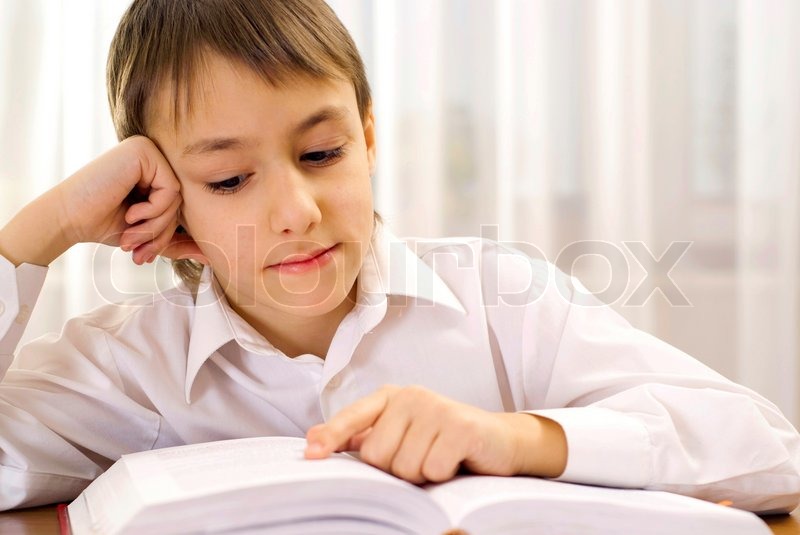 Clever boy learns lessons at home | Stock Photo | Colourbox