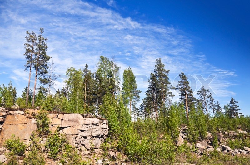 Paludal Mischwald in Karelien, westlich ... | Stock Bild | Colourbox