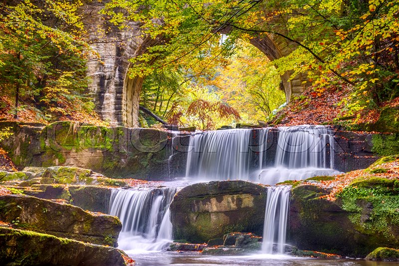 Stonebridge In Forest