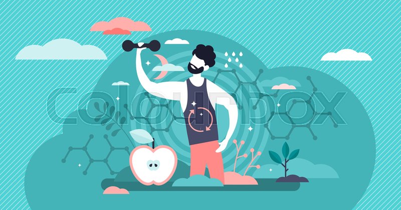 Male metabolism vector illustration. ... | Stock vector | Colourbox