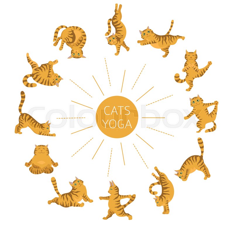Cats yoga. Different yoga poses and ... | Stock vector | Colourbox