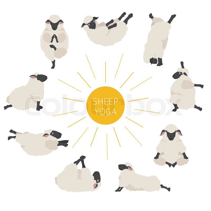 Sheep yoga poses collection. Farm ... | Stock vector | Colourbox