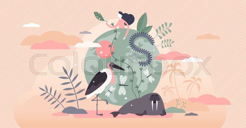 Biodiversity vector illustration. ... | Stock vector | Colourbox