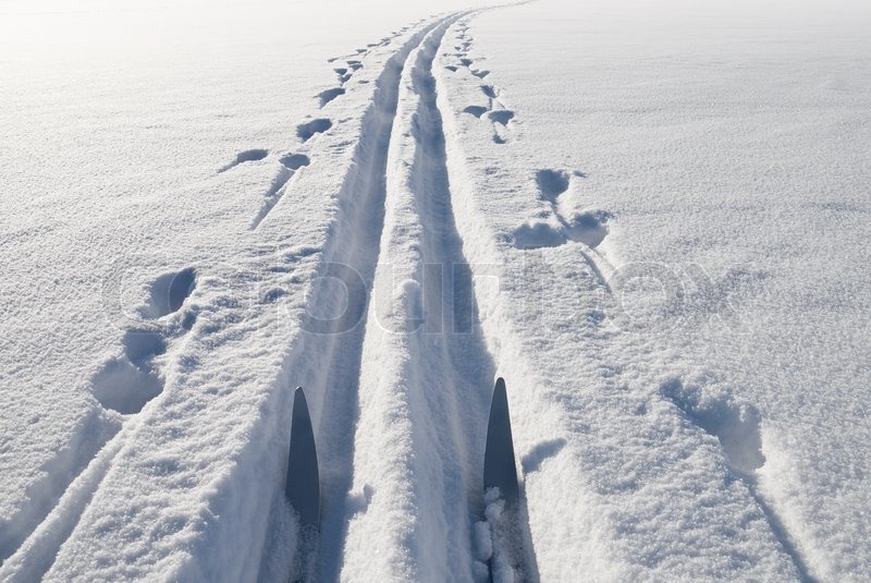 : Ski, snow and track Winter sport - ... | Stock image | Colourbox