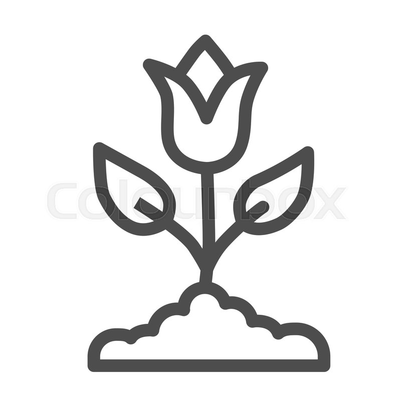 Spring Flower Icon