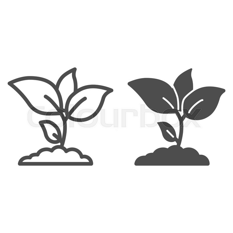 Plant sprouts line and solid icon, ... | Stock vector | Colourbox