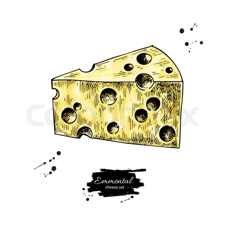 Emmental cheese drawing. Vector hand ... | Stock vector | Colourbox
