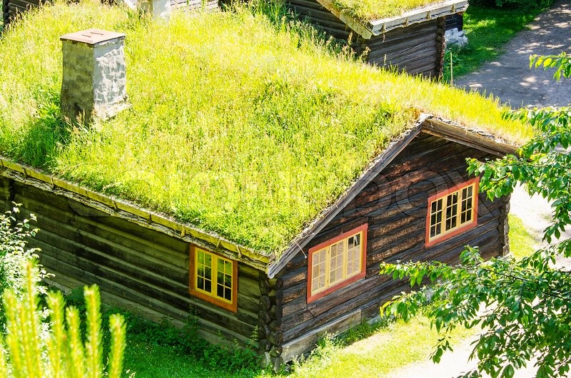 Grass roof country house | Stock image | Colourbox