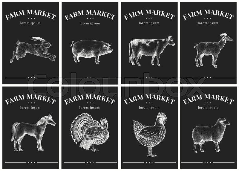 Labels with farm animals. Vintage set ... | Stock vector | Colourbox