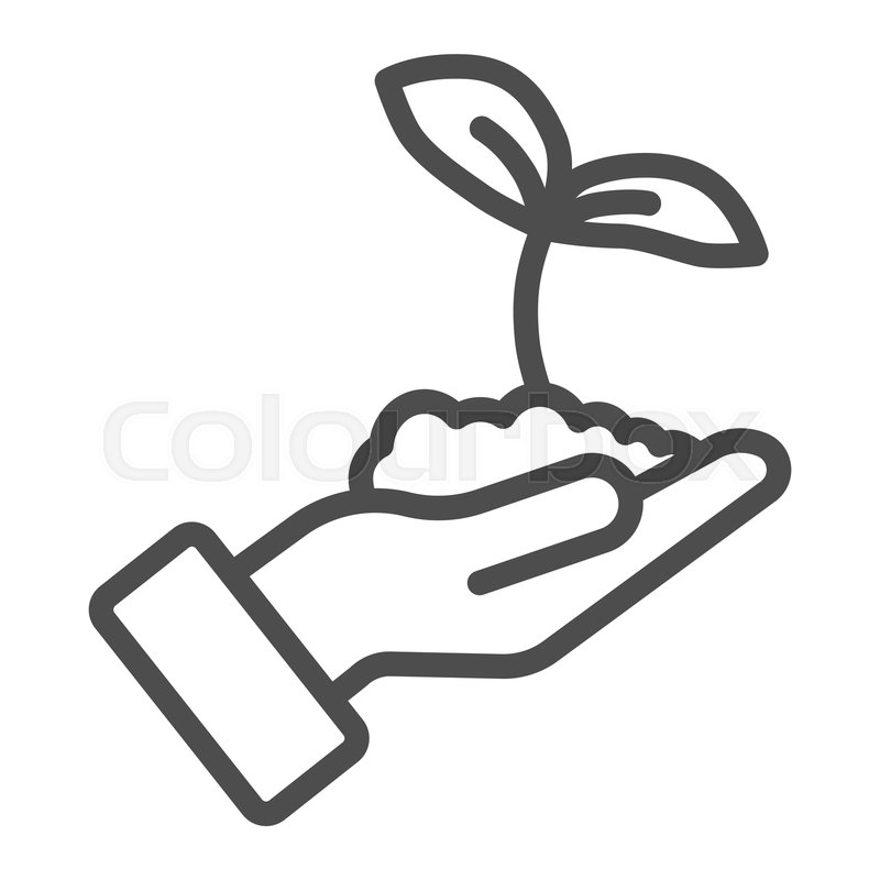Seedling In Hand Clipart