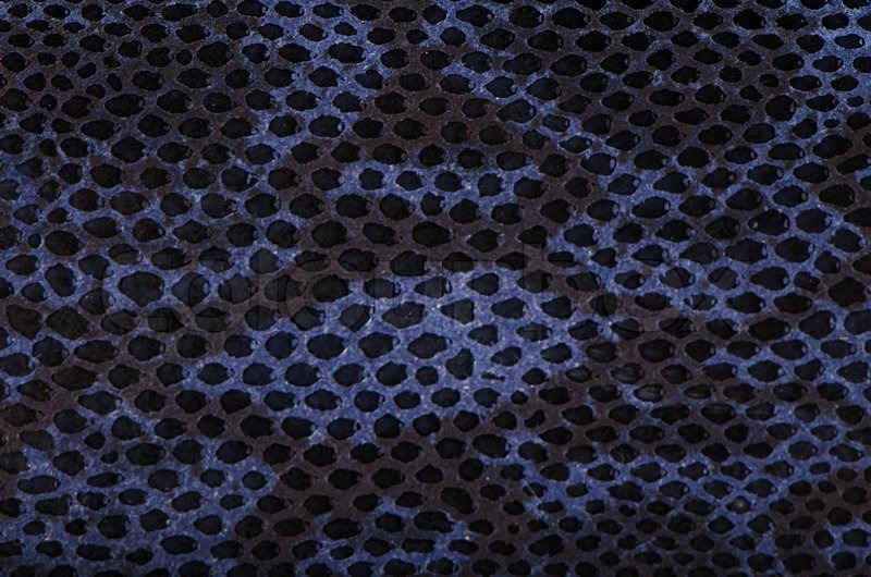 Blue python snake skin | Stock image | Colourbox