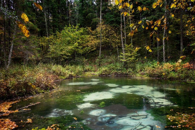 Beautiful lake in Estonia. Siniallikad | Stock image | Colourbox