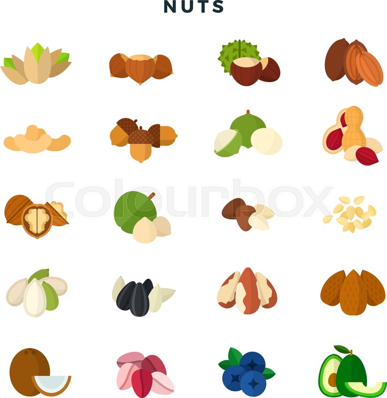 Clip Art Of Various Types Of Nuts