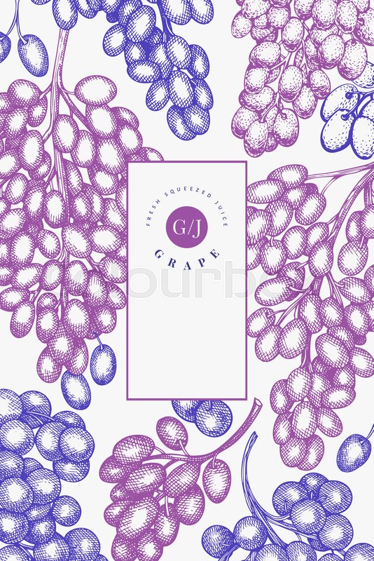 Grape design template. Hand drawn ... | Stock vector | Colourbox