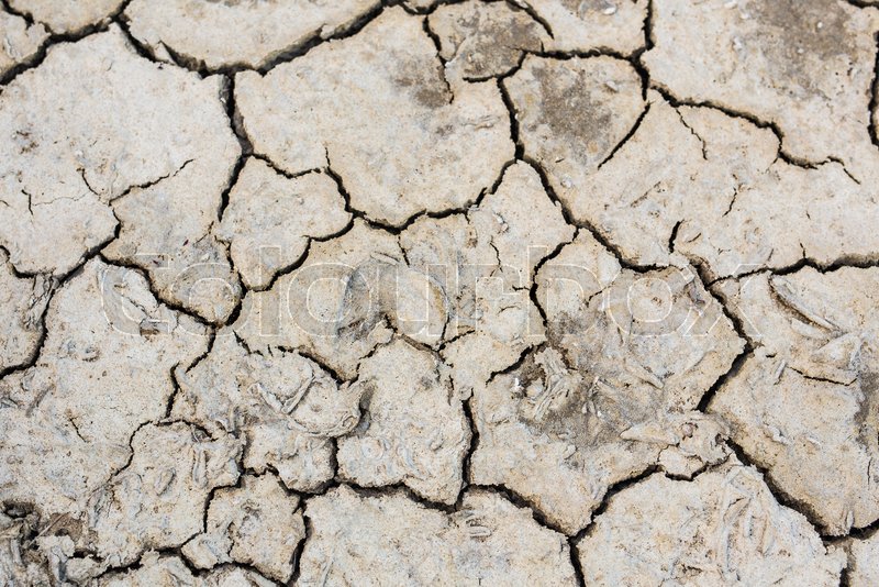 Dry land texture, background image. The ... | Stock image | Colourbox