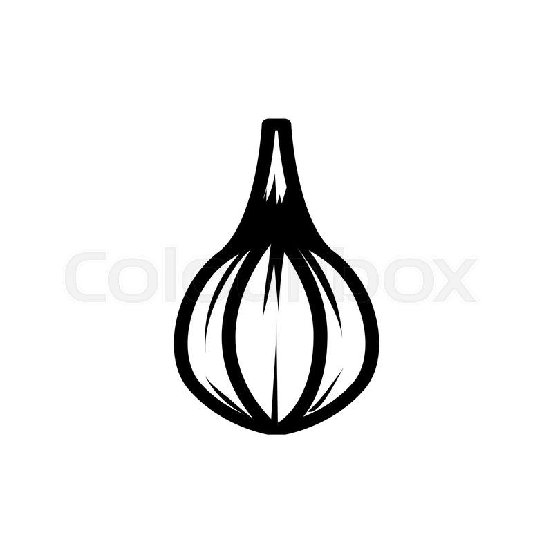 Onion vector design template ... | Stock vector | Colourbox