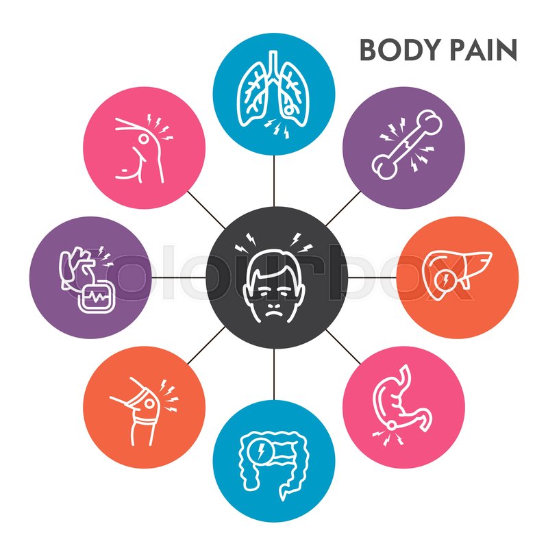 Body Infographic Template